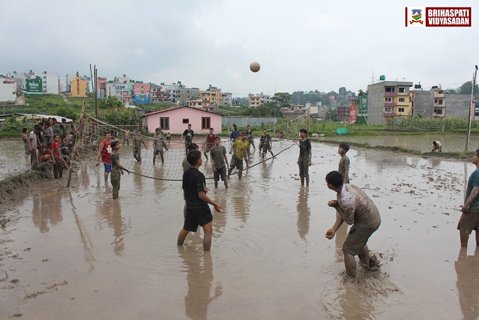 Celebrating National Paddy Day | Brihaspati Vidyasadan